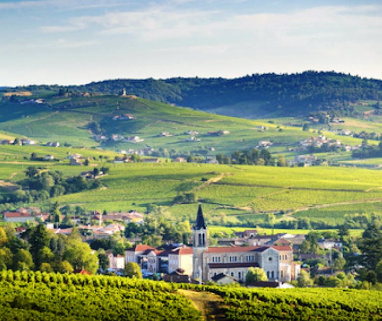 MORE GREAT ATTRACTIONS TO DISCOVER SOUTH OF BORDEAUX – Paris Plus Plus